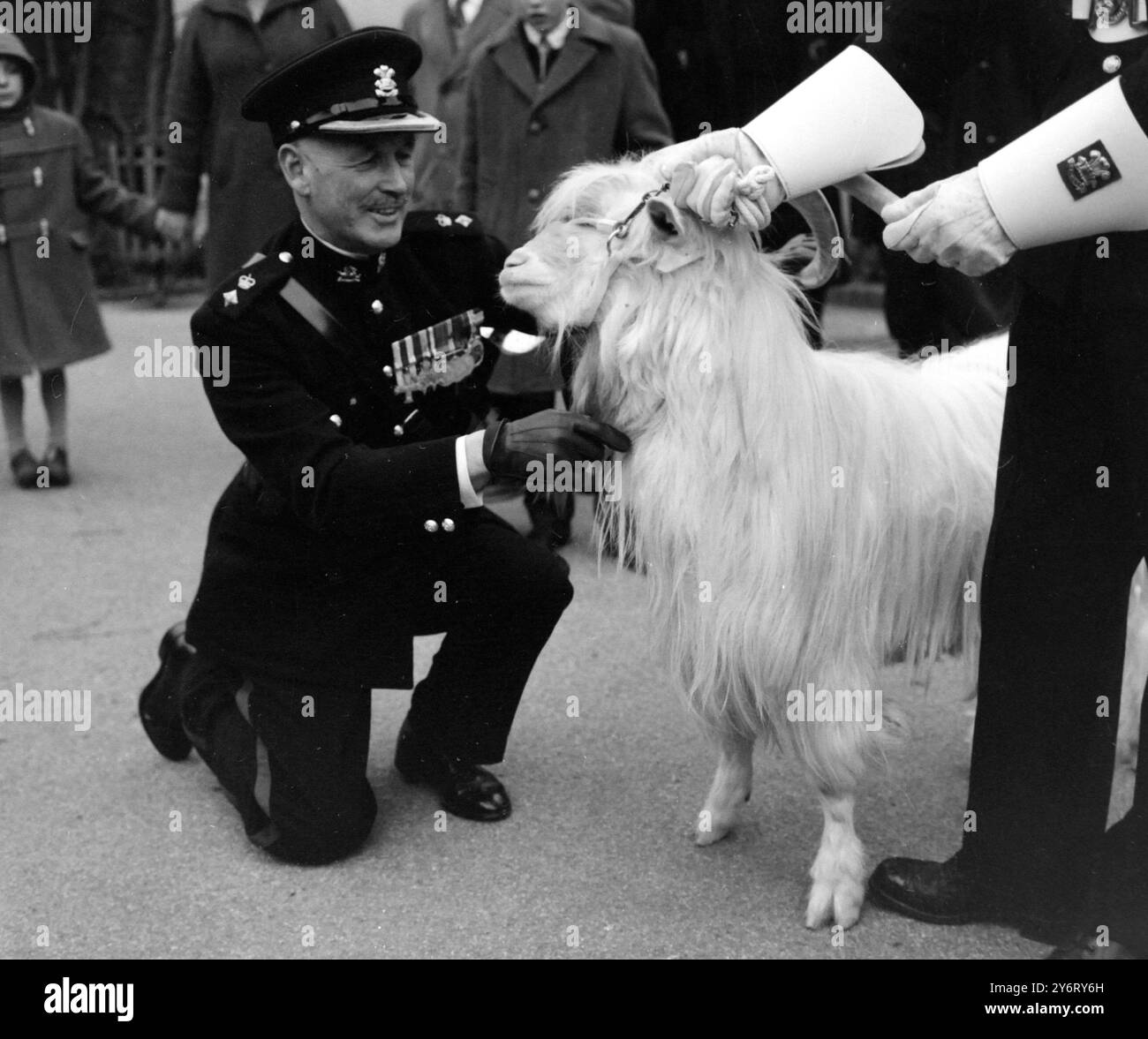 DAVIES W R WELSH REGIMENT + TAFFY GOAT / 6 FEBRUARY 1962 Stock Photo ...