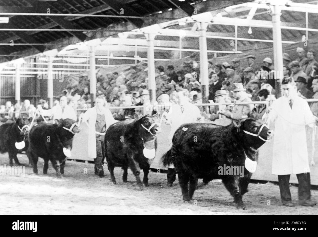 On february 1962 in hi-res stock photography and images - Alamy
