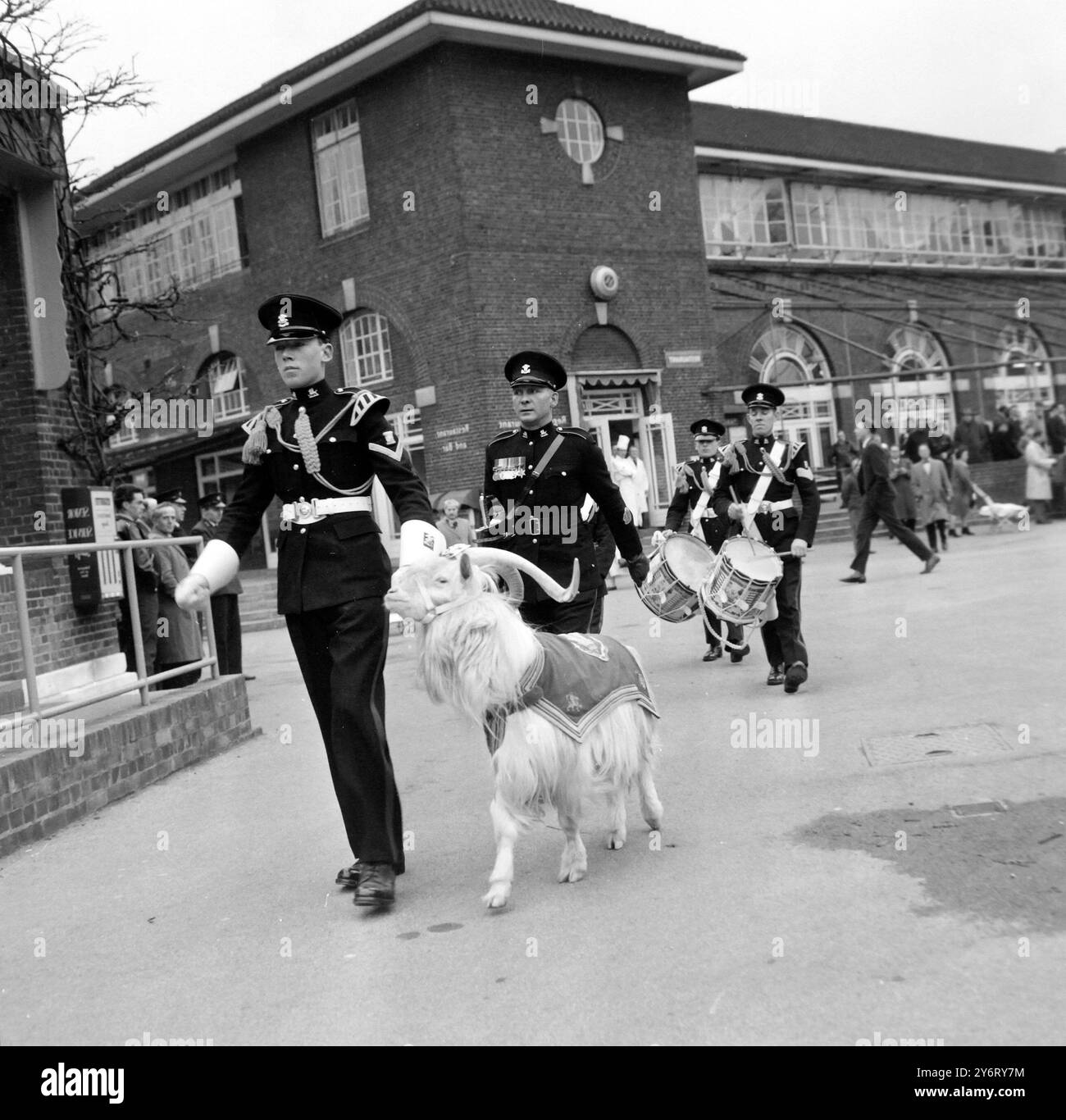WELSH REGIMENT WITH TAFFY GOAT 6 FEBRUARY 1962 Stock Photo - Alamy