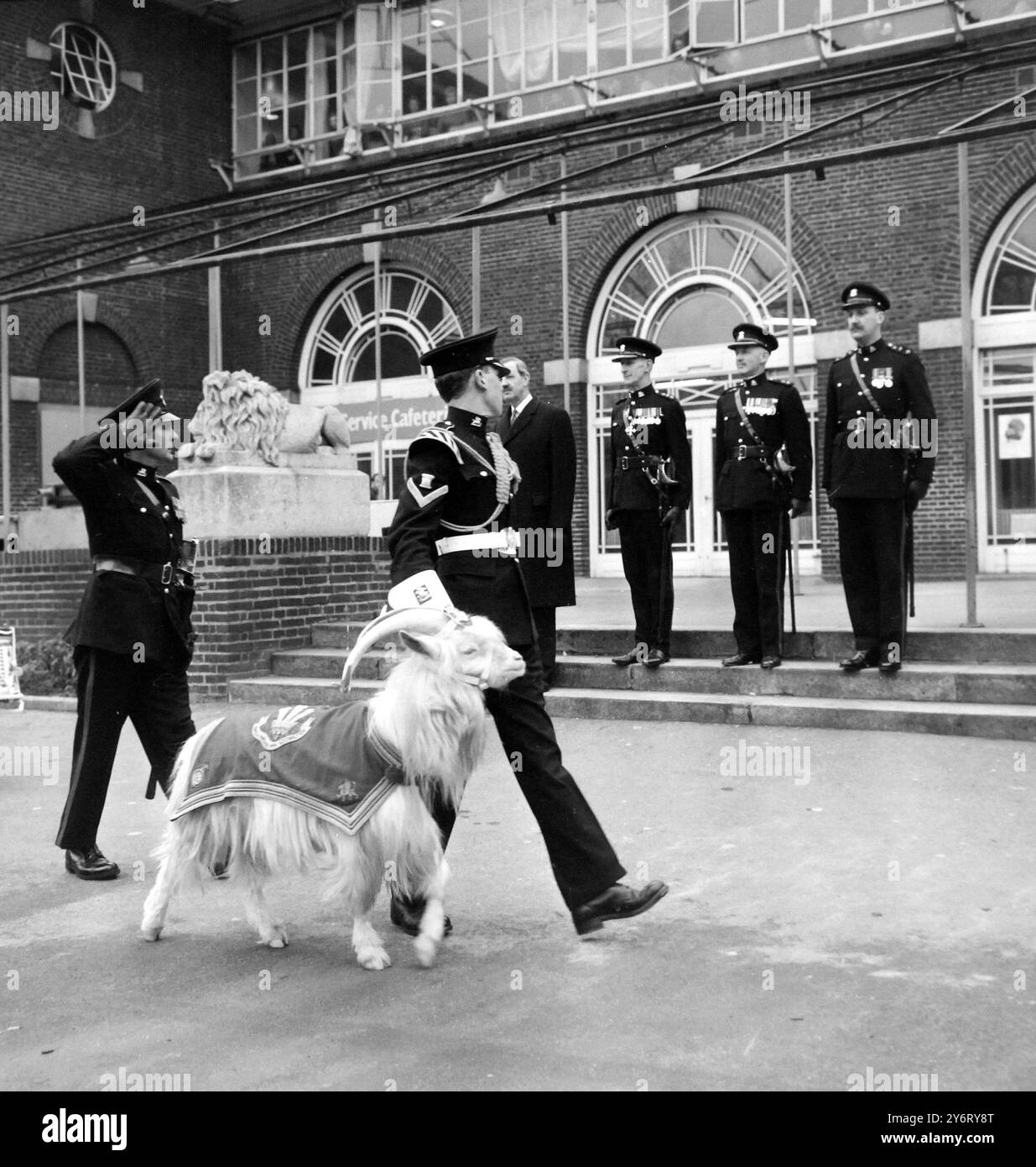 Negative mascot Black and White Stock Photos & Images - Alamy