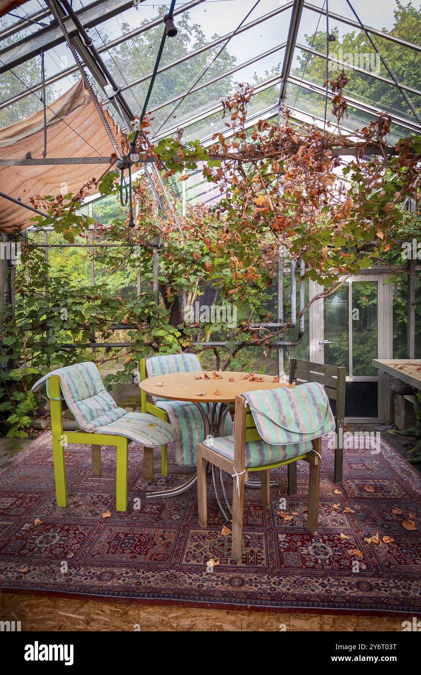 Greenhouse, conservatory with vintage-look seating, interior design ...