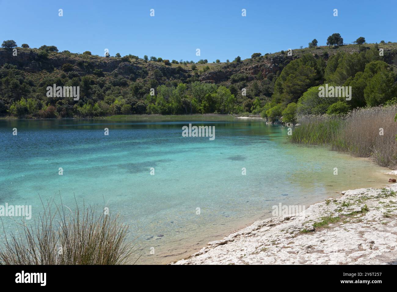 A calm lake with clear blue water, surrounded by green trees and ...