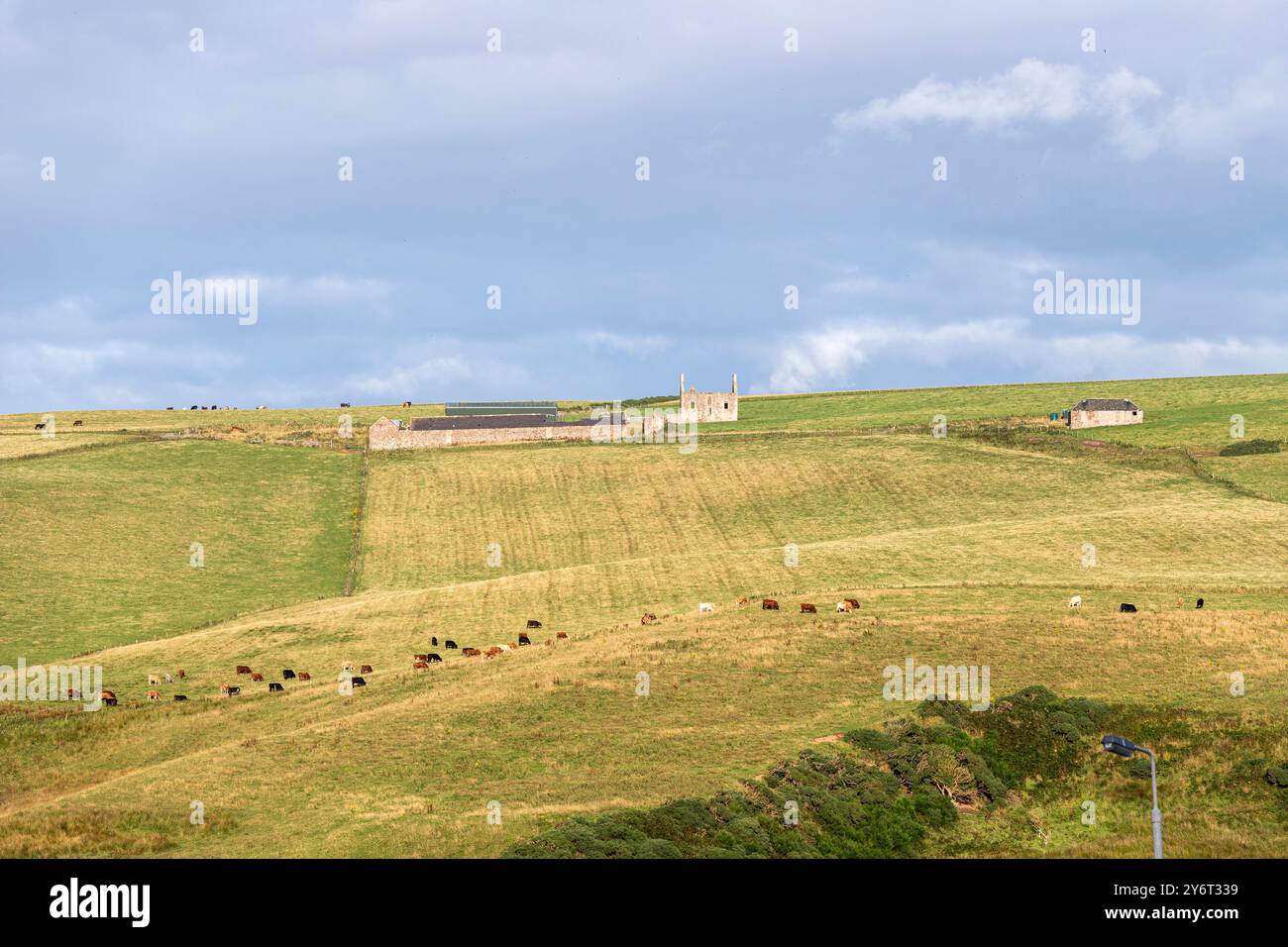 Farm in Pennan is a small village in Aberdeenshire, Scotland, UK Stock ...