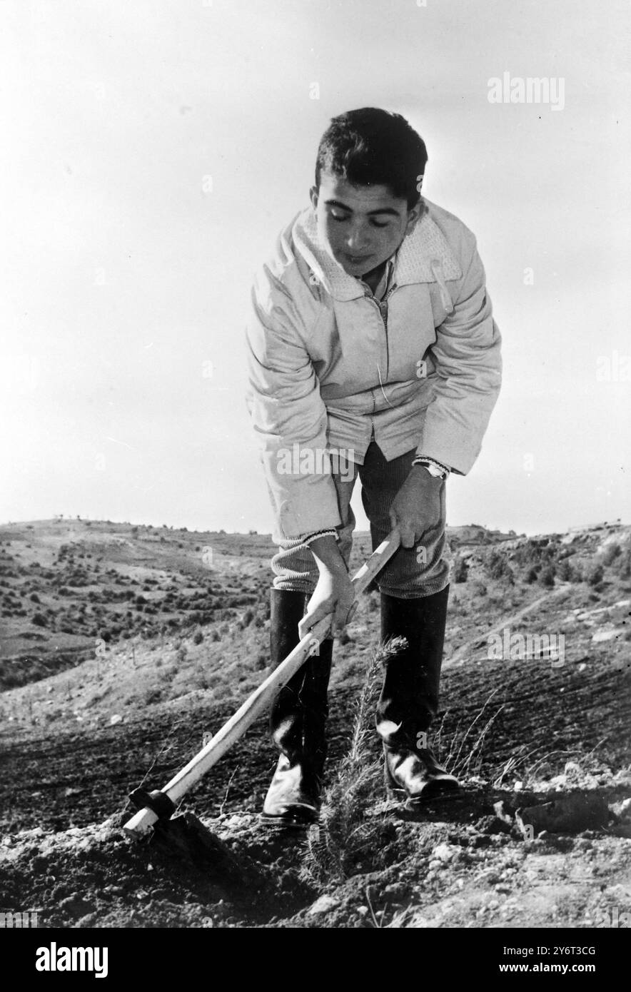 KING HUSSEIN WITH PRINCESS ALIA & PRINCE HASSAN OF AMMAN 19 JANUARY ...