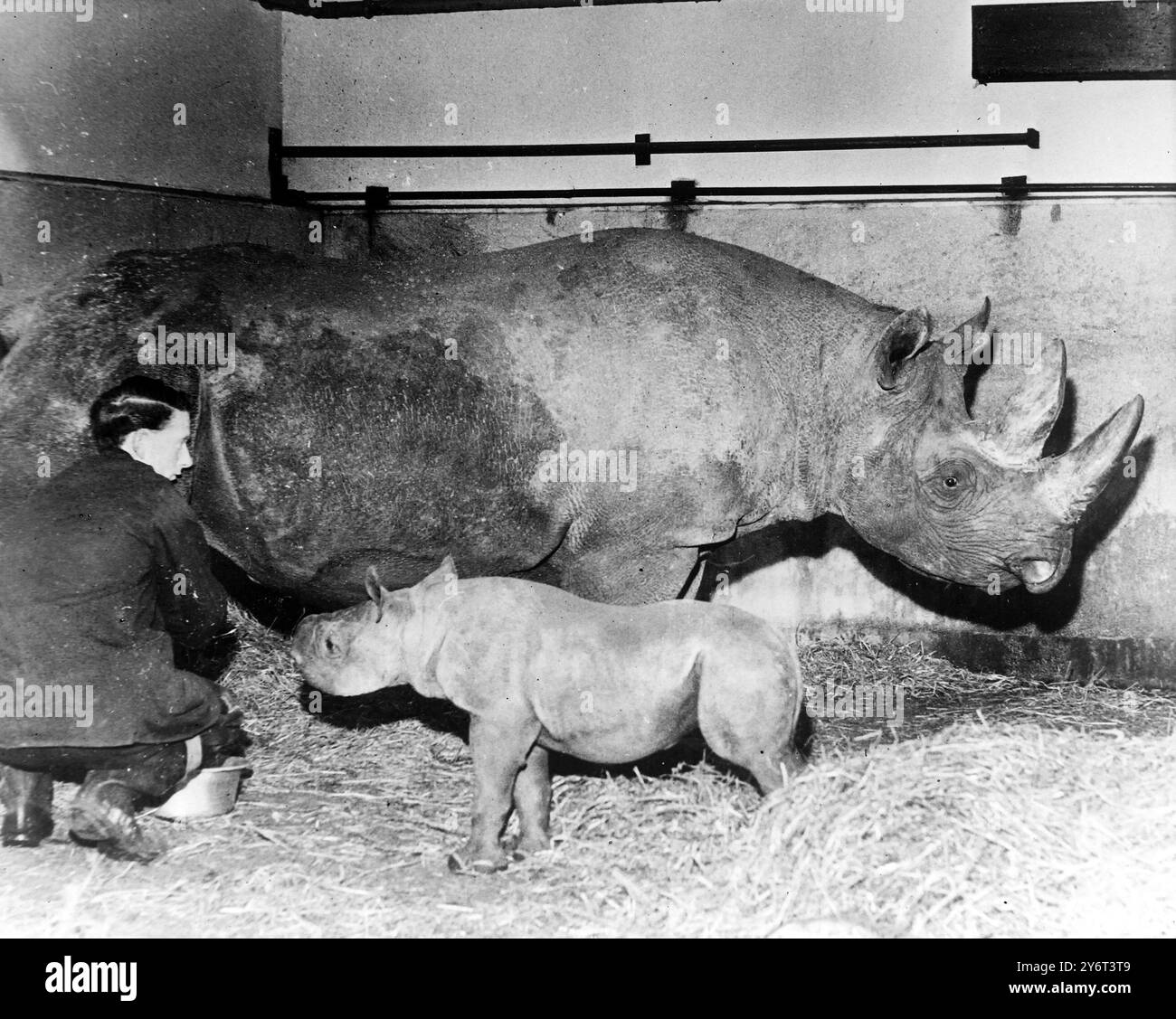 Stephanie baby hi-res stock photography and images - Alamy