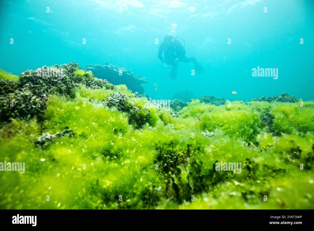 Coral reefs monument hi-res stock photography and images - Alamy