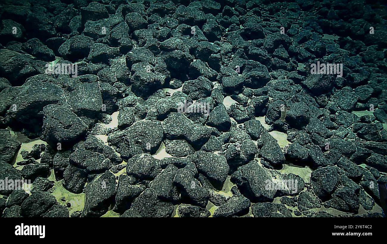 Nodules sea floor hi-res stock photography and images - Alamy