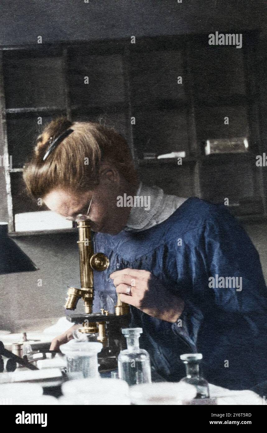 Nettie Stevens, American Geneticist Stock Photo - Alamy