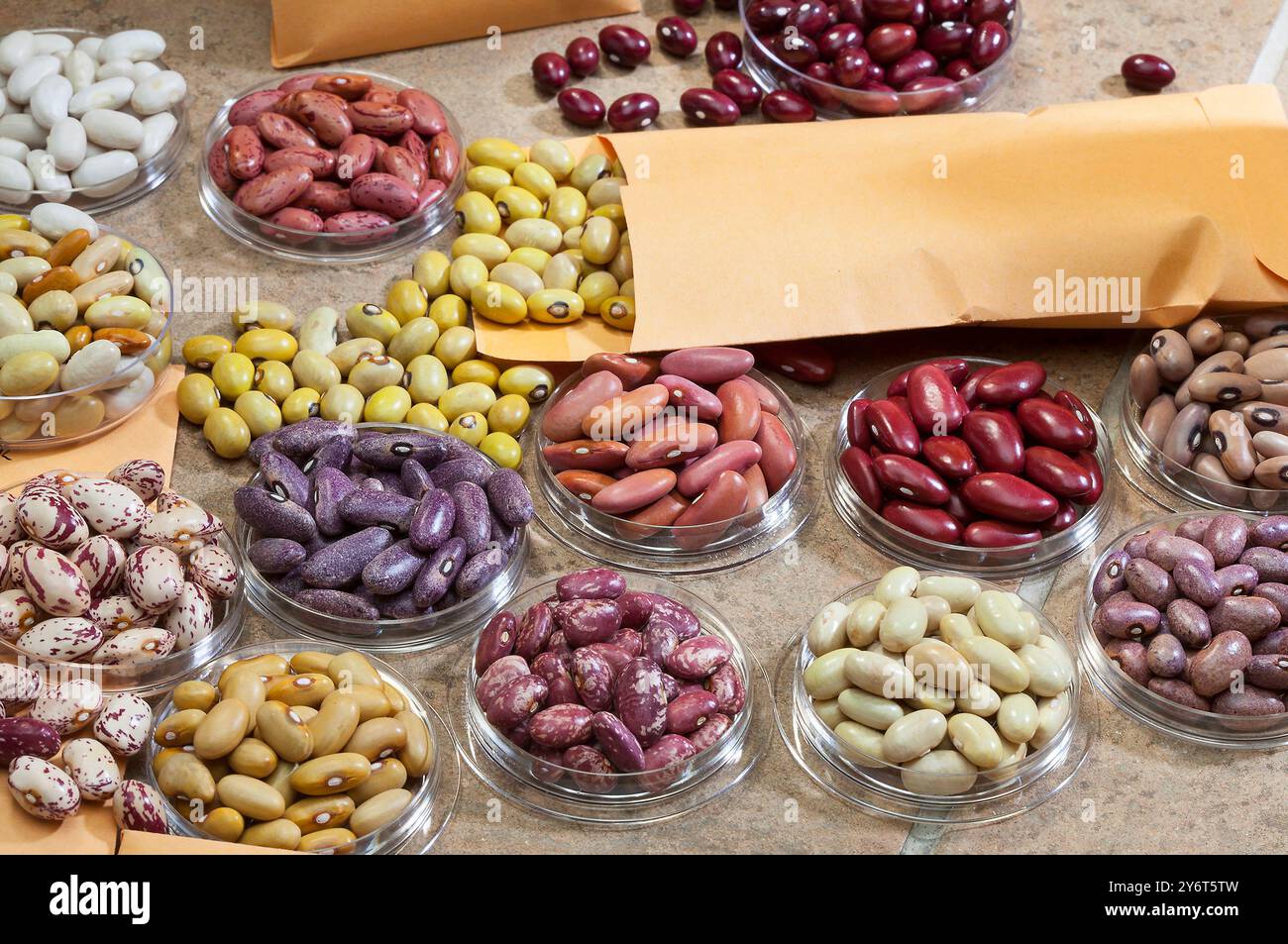 Andean dry beans hi-res stock photography and images - Alamy