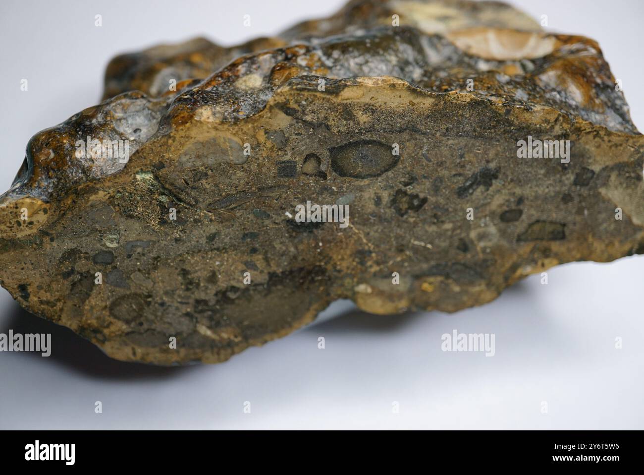 Phosphorite Rock from Seafloor Stock Photo - Alamy
