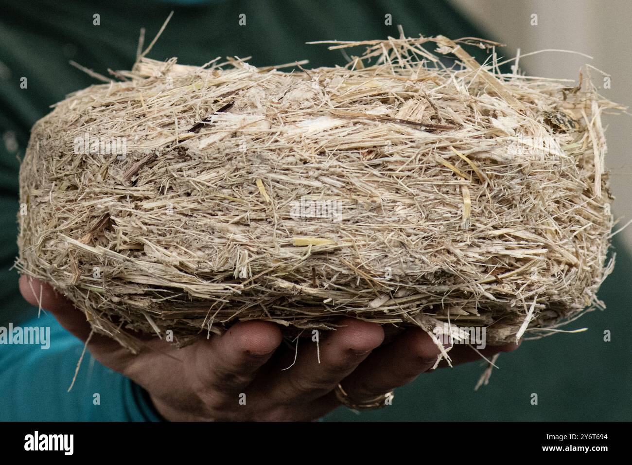 Sugar cane fiber hi-res stock photography and images - Alamy