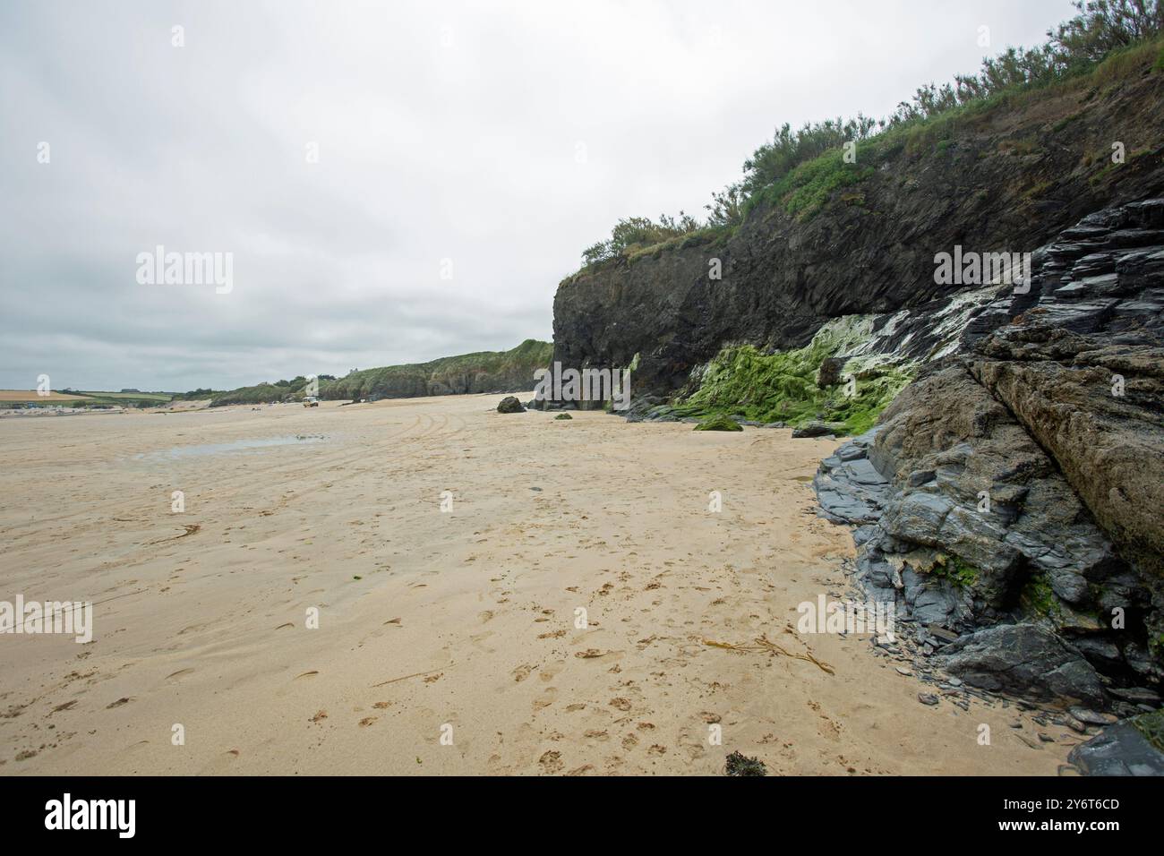 Harlyn Bay beach, Cornwall, England, June 2024, people and dogs ...