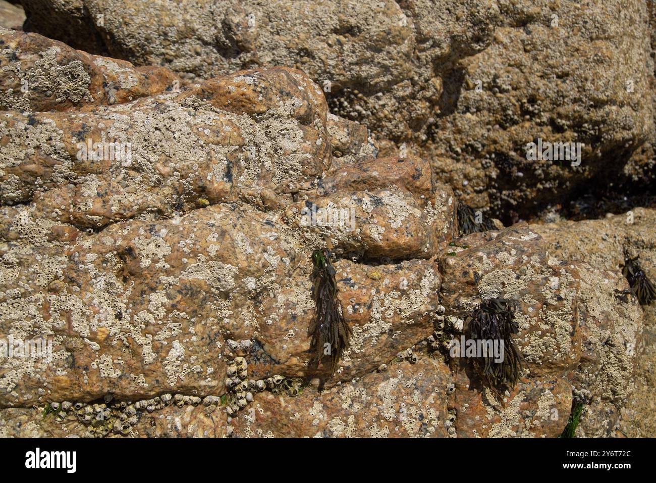 Porthcurno Beach, Cornwall, England, June 2024, a view of rocks Stock ...