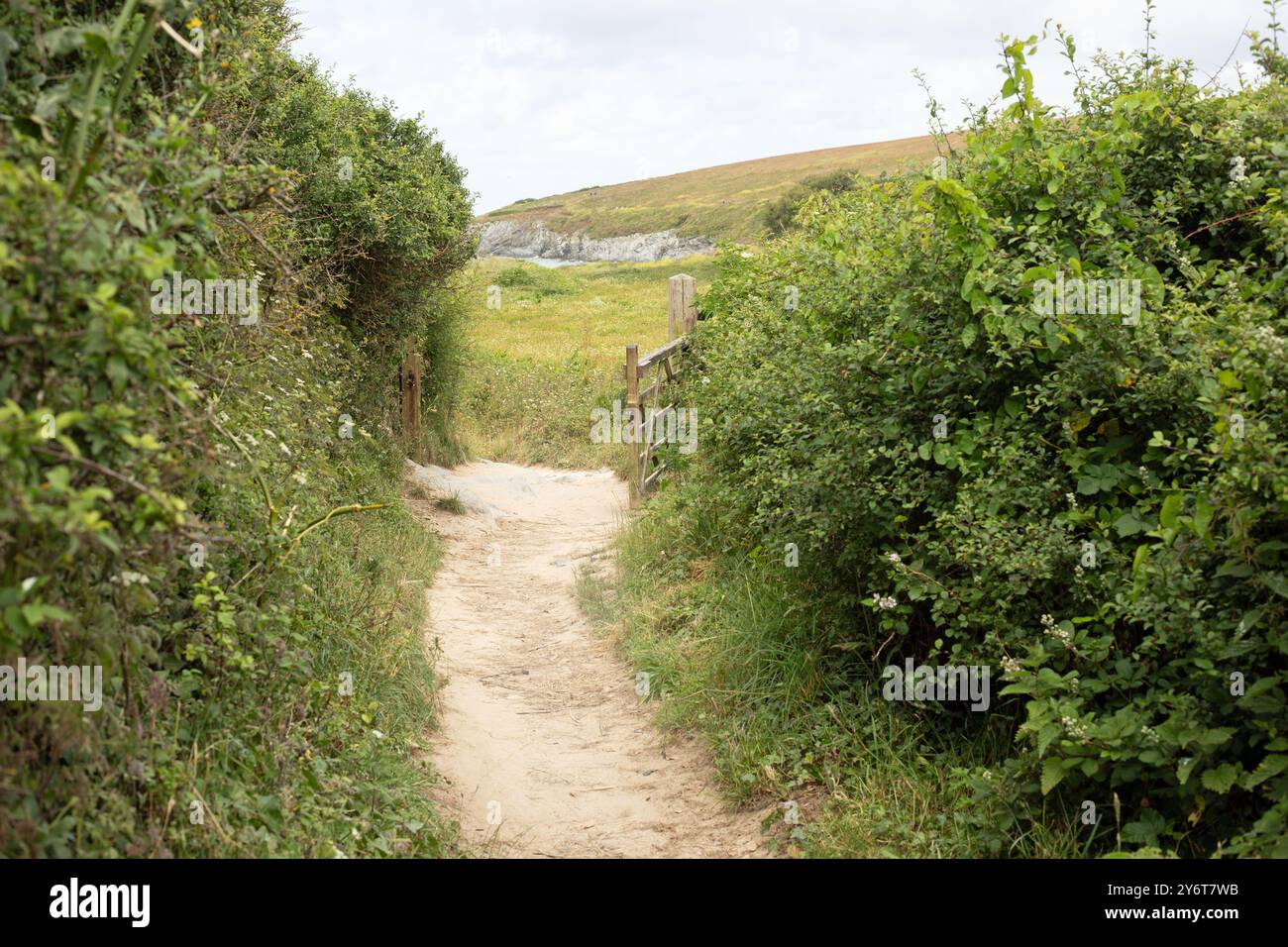 Cornwall, England, June 30th, 2024, a path through countryside towards ...