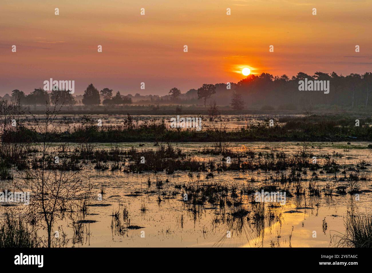 Entspannungsbild hi-res stock photography and images - Alamy