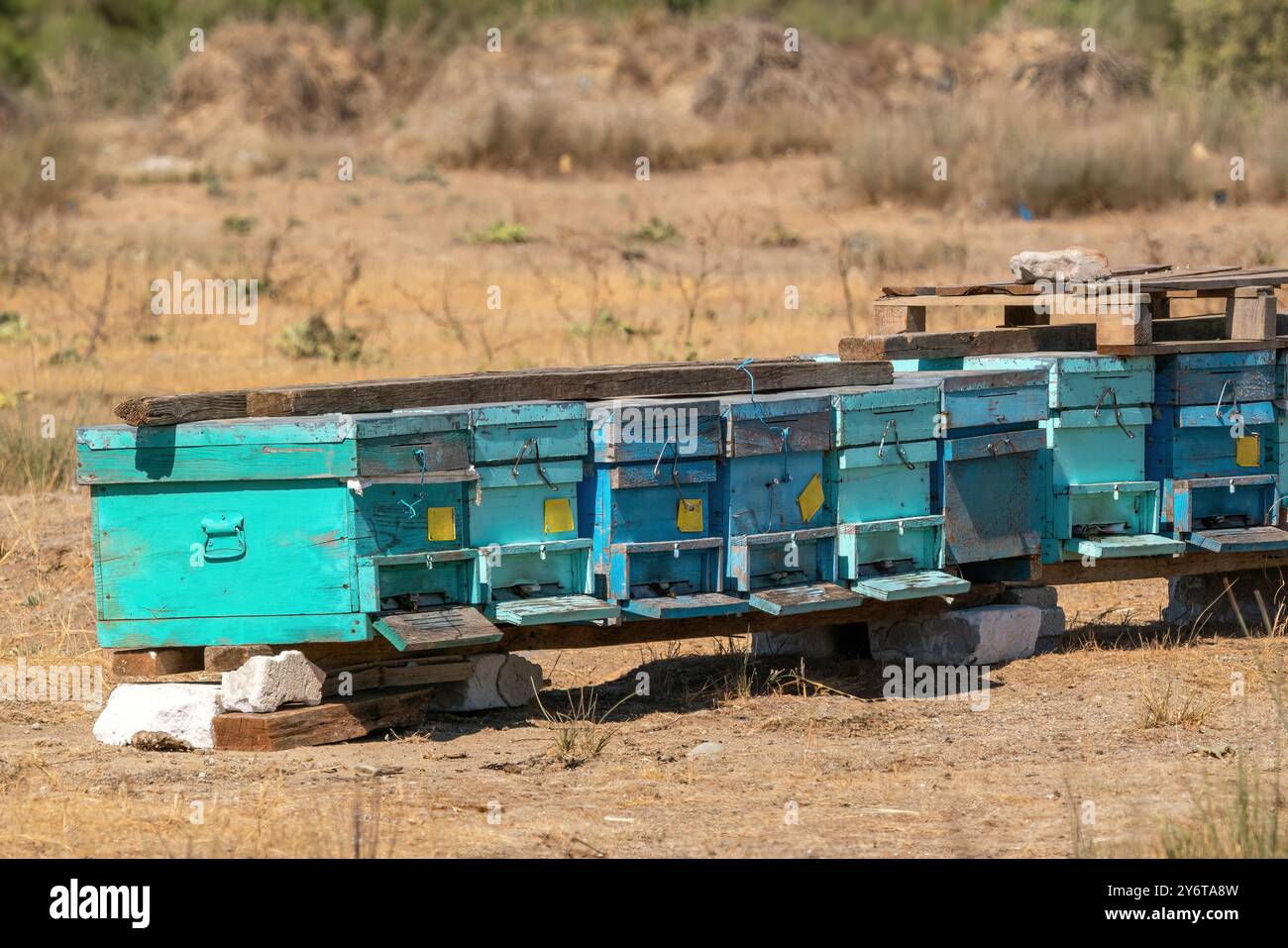 Set of beehives hi-res stock photography and images - Alamy