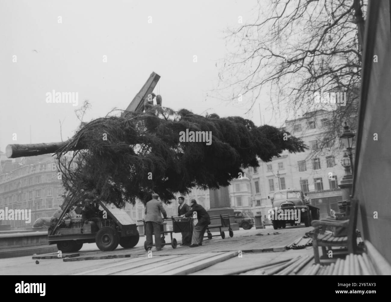 CHRISTMAS TREE FROM OSLO AT TRAFALGAR SQUARE IN LONDON - MOBILE CRANE ...