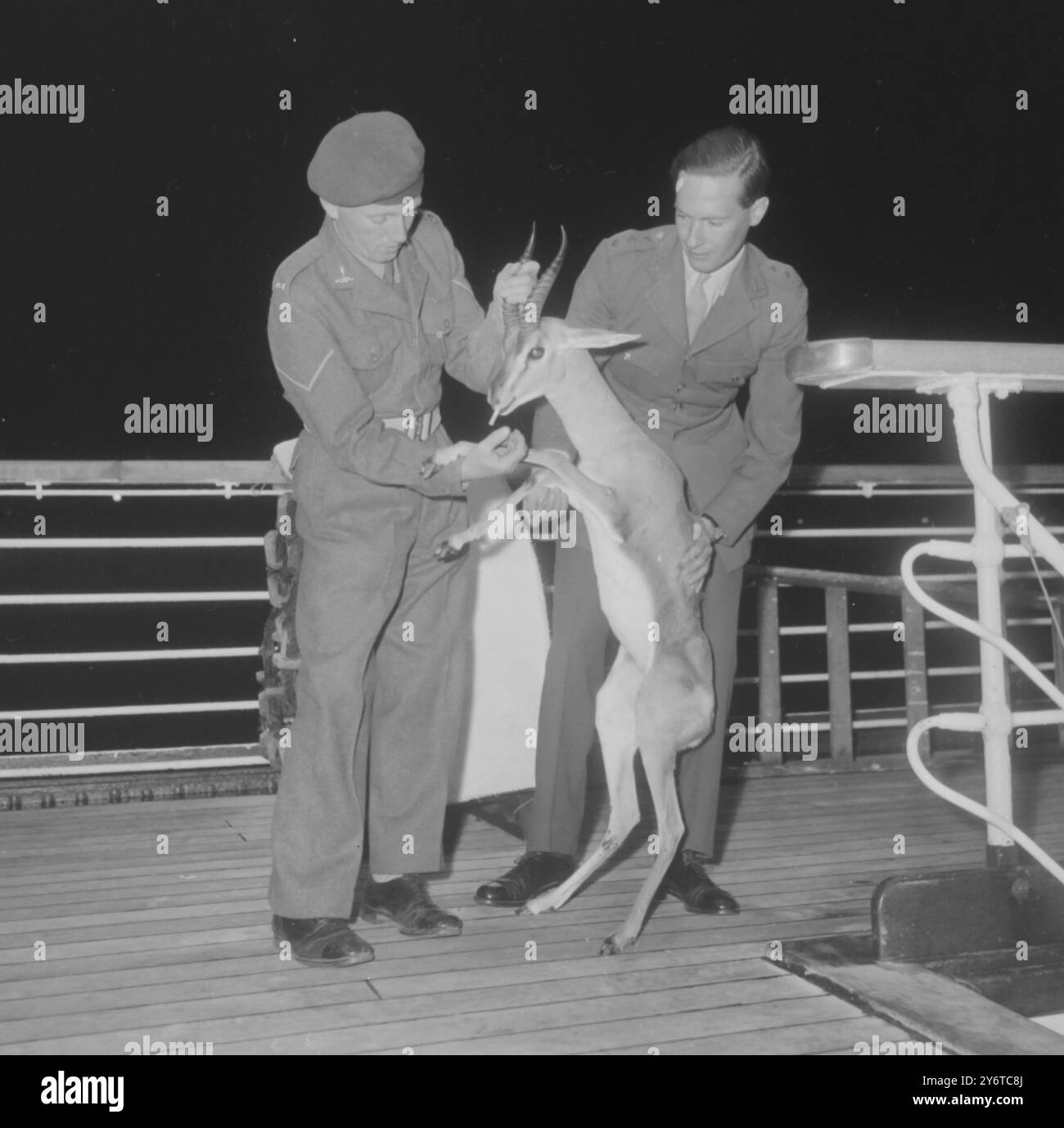 CORPORAL WILLIAM CLUES WITH GAZELLE IN SOUTHAMPTON / 30 NOVEMBER 1961 ...