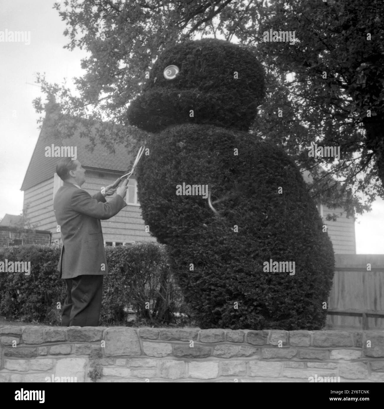 LILLEY A M TOPIARY BIRD MADE / 26 NOVEMBER 1961 Stock Photo - Alamy