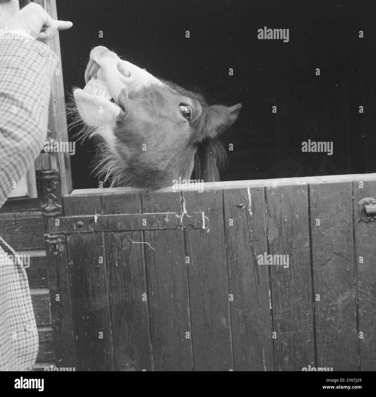 October 1961 Black and White Stock Photos & Images - Alamy