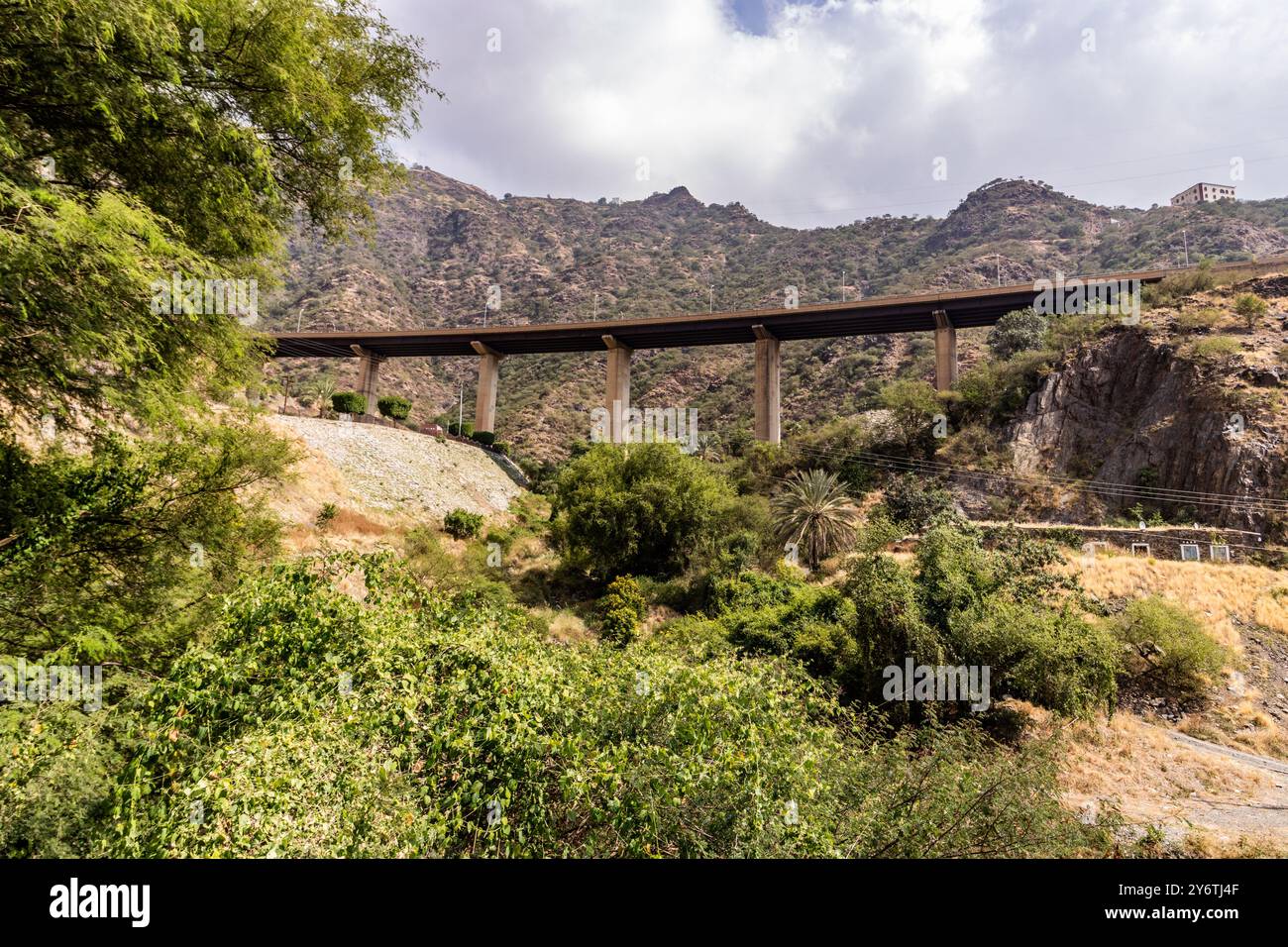 Saudi road crossing hi-res stock photography and images - Alamy