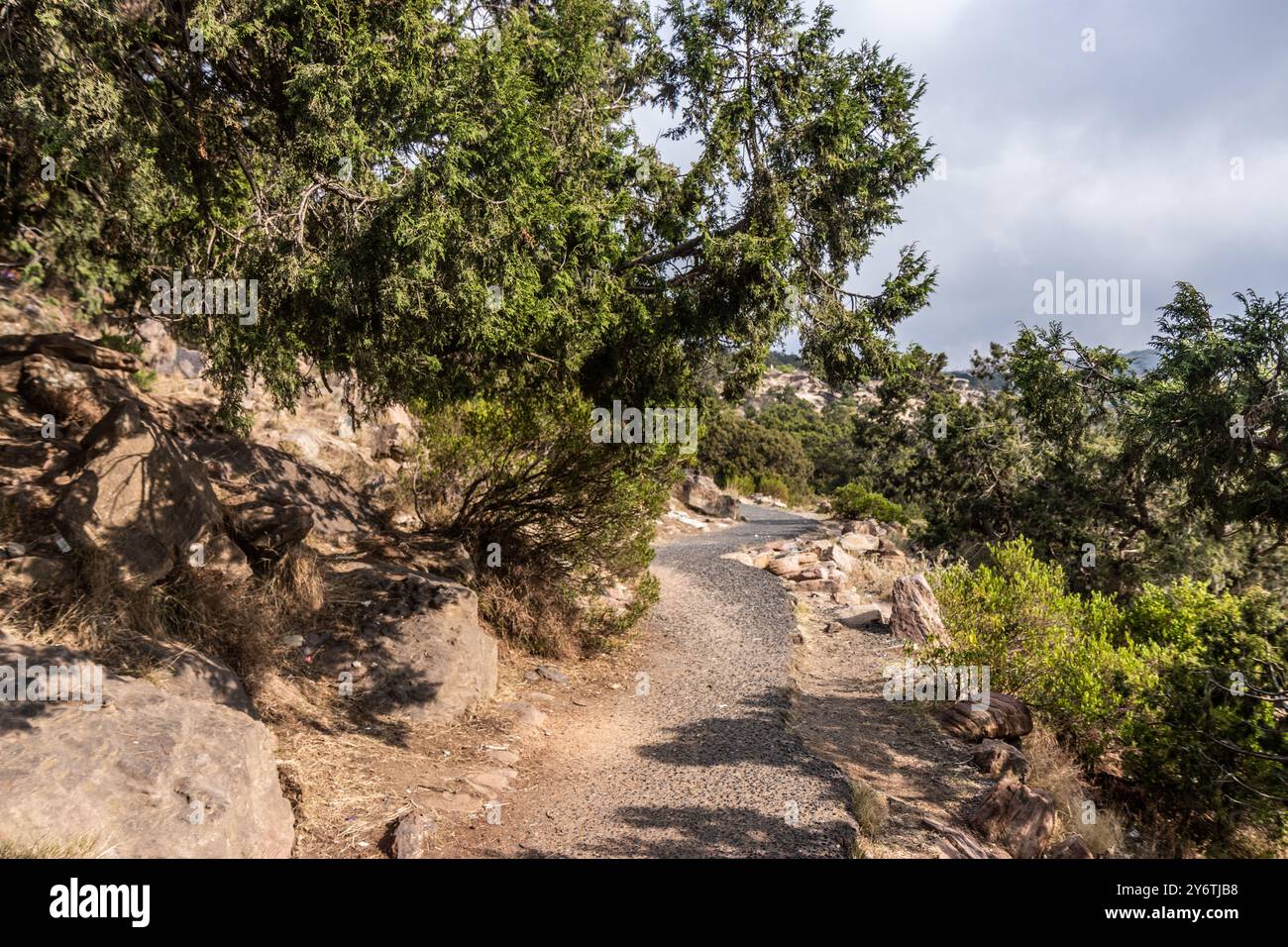 Hiking trail near Jabal Sawda mountain, Saudi Arabia Stock Photo - Alamy