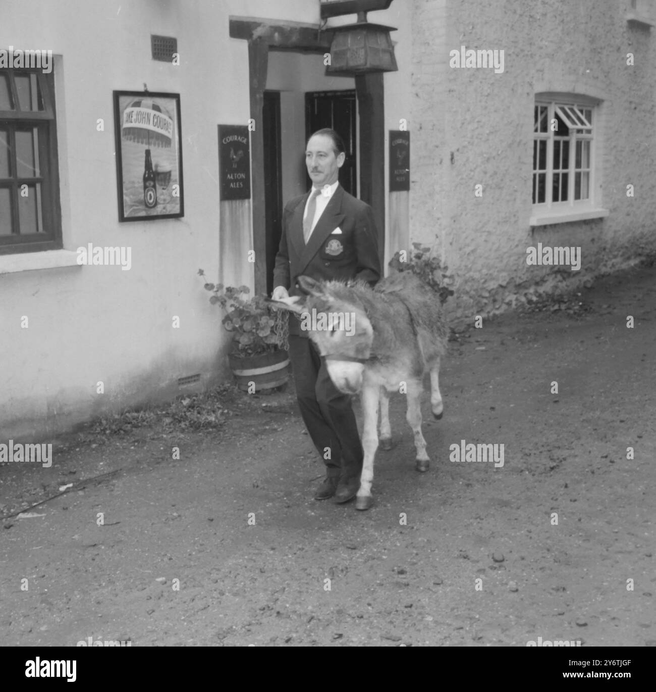 Beer donkey hi-res stock photography and images - Alamy