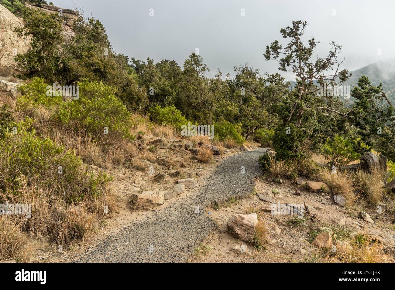Hiking trail near Jabal Sawda mountain, Saudi Arabia Stock Photo - Alamy
