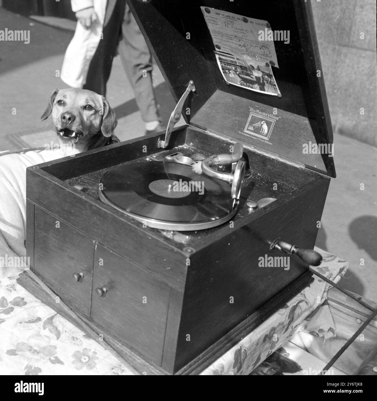 JAMES DALY BEGGAR WITH A DOG AND A GRAMOPHONE HIS MASTER VOICE / 18 ...
