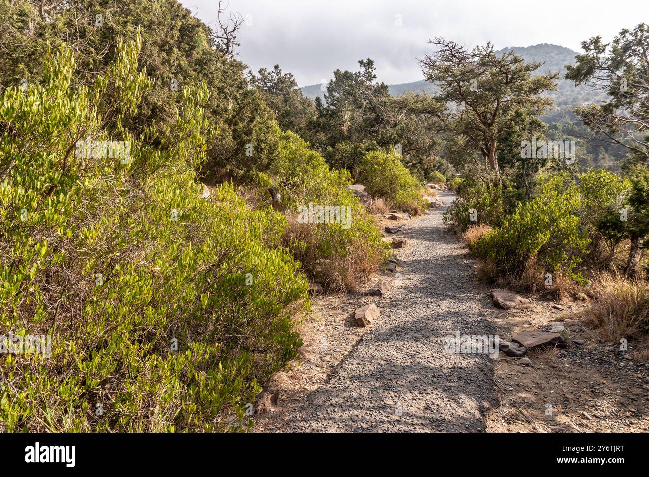 Hiking trail near Jabal Sawda mountain, Saudi Arabia Stock Photo - Alamy