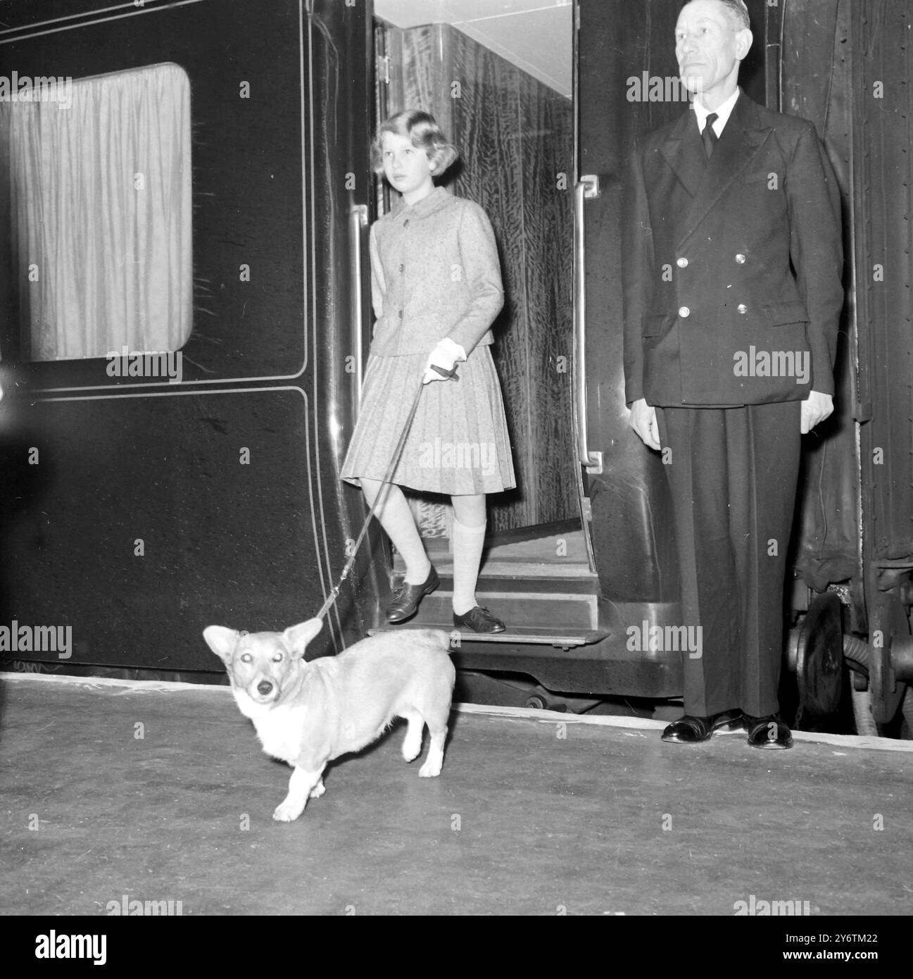 Princess anne dog hi-res stock photography and images - Alamy