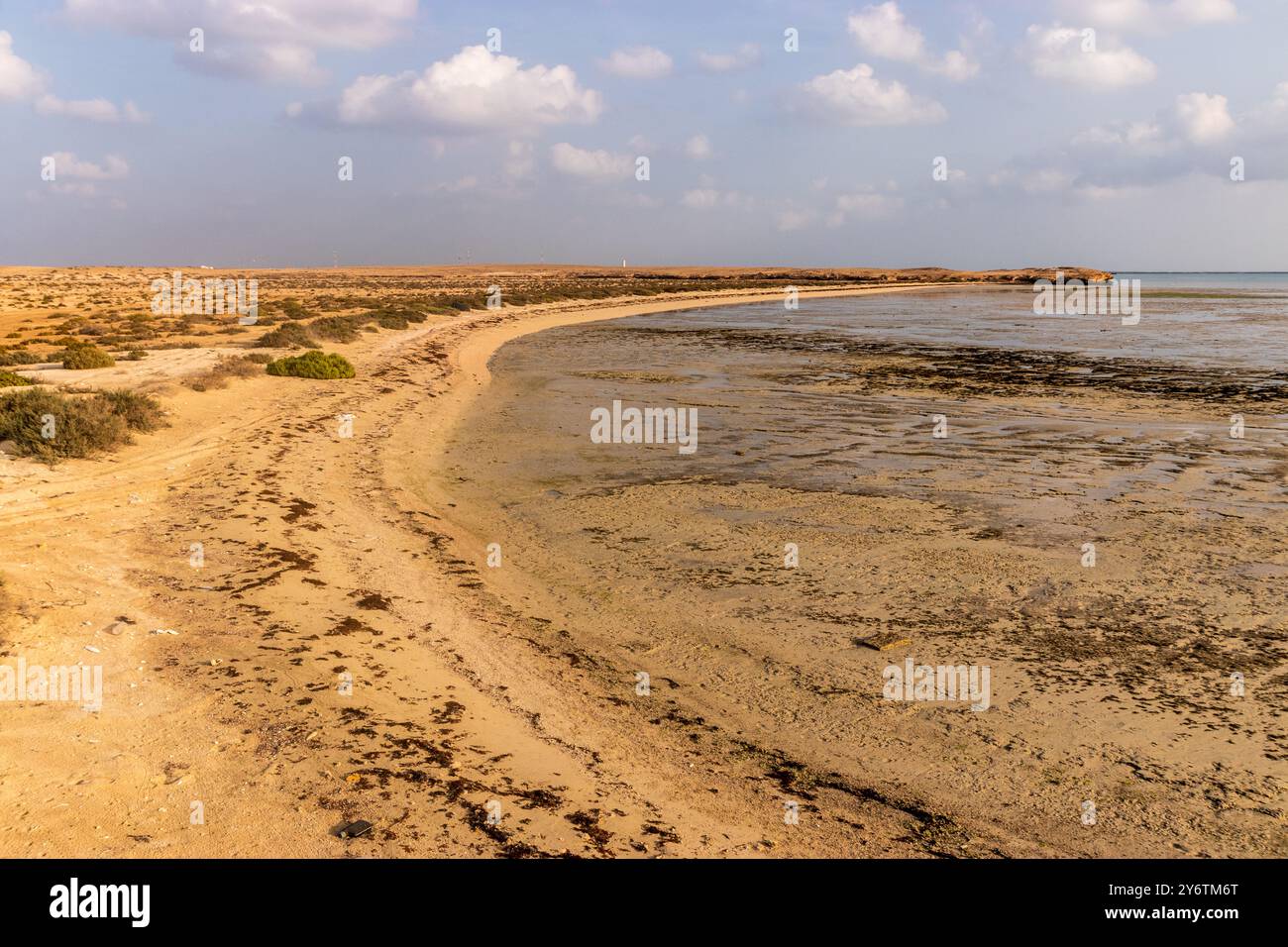 Saudi arabia desert coast hi-res stock photography and images - Alamy