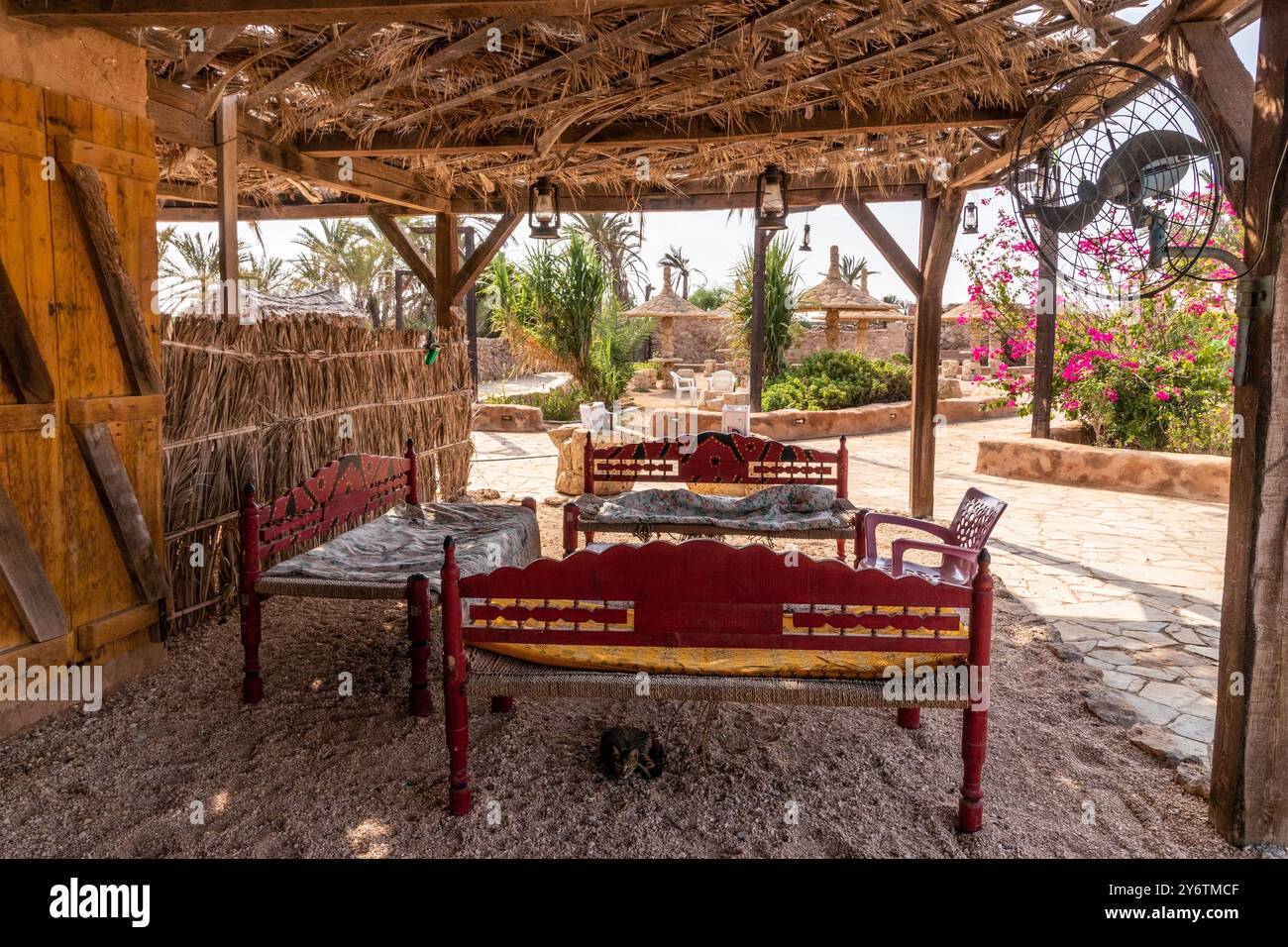 Cafe in Al Qassar heritage village on Farasan island, Saudi Arabia ...