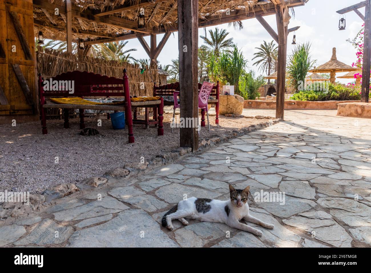 Cafe in Al Qassar heritage village on Farasan island, Saudi Arabia ...
