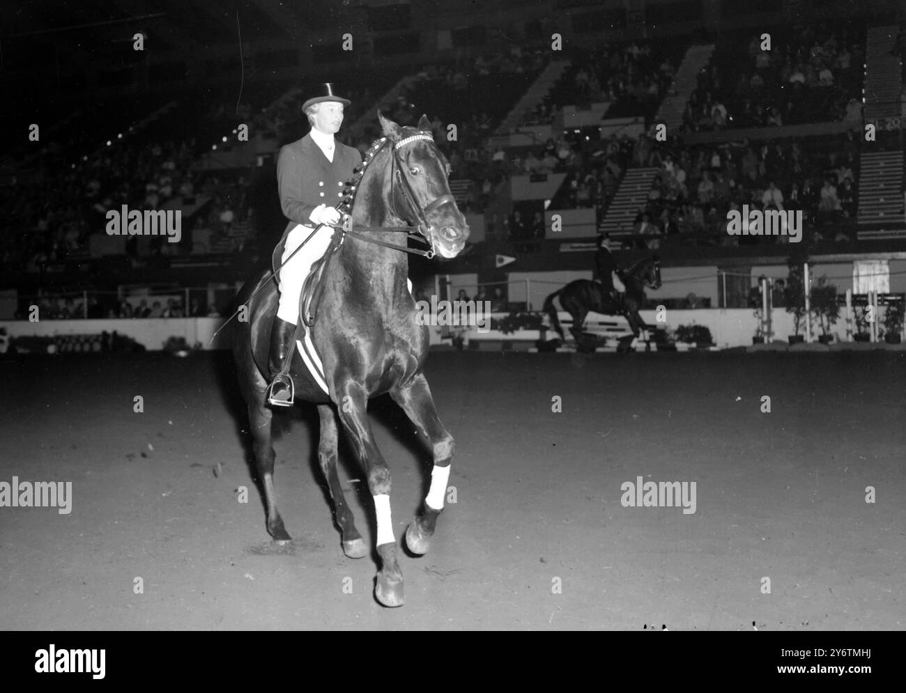 HORSE SHOWS SPRINGER DEMONSTRATION DRESSAGE - HORSE OF THE YEAR SHOW IN ...
