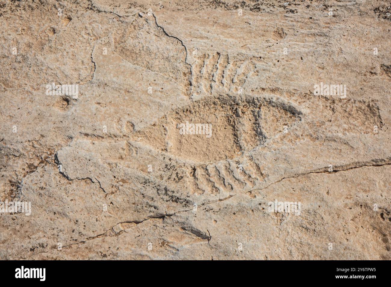 An ancient rock carving of a boat with oars at the Al Jassasiya Rock ...