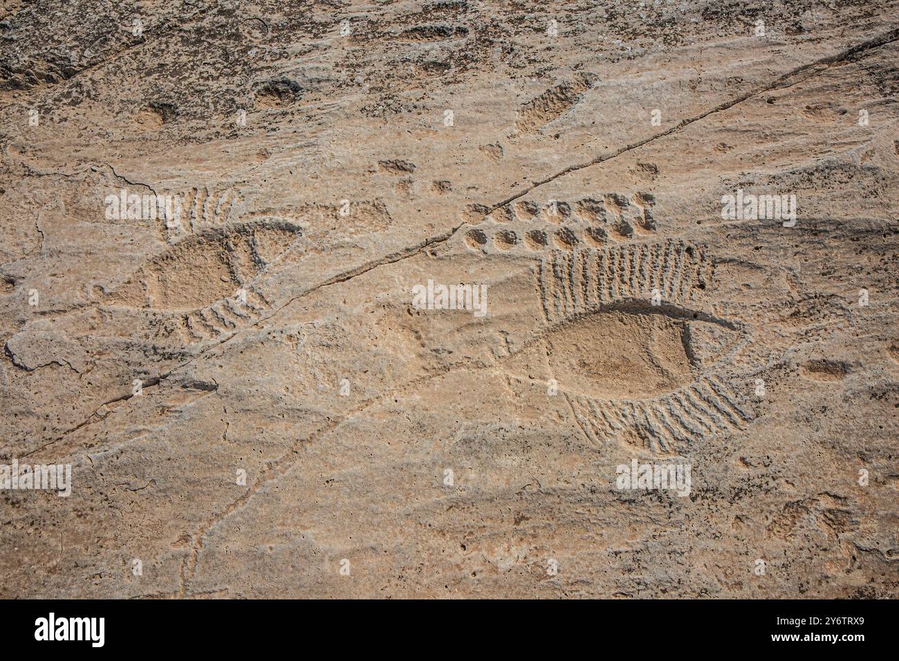 Ancient rock carvings of boats with oars at the Al Jassasiya Rock Art ...