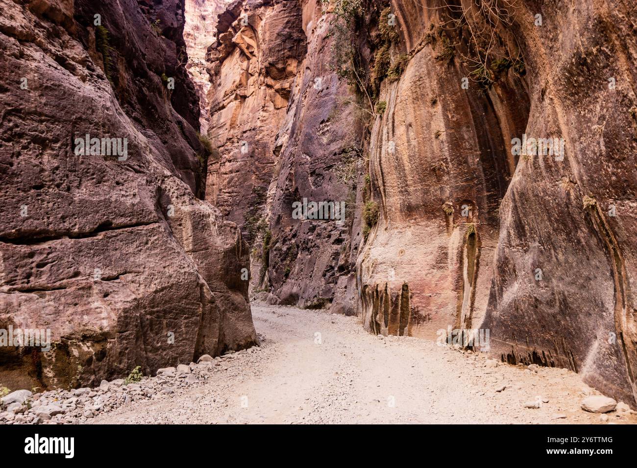 Path in Wadi Lajab canyon, Saudi Arabia Stock Photo - Alamy