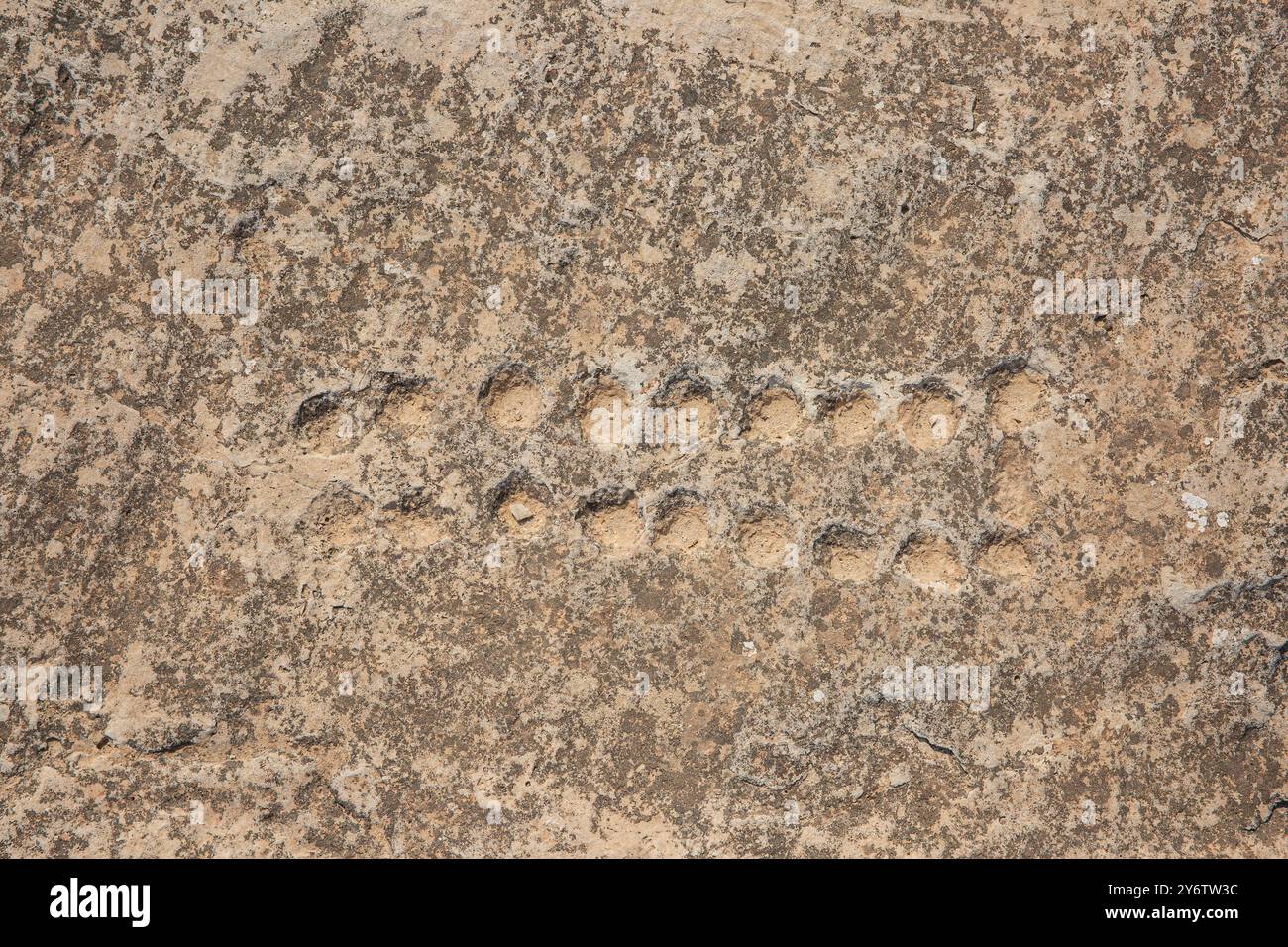 Ancient dot carvings at the Al Jassasiya Rock Art Site (Jabal al ...