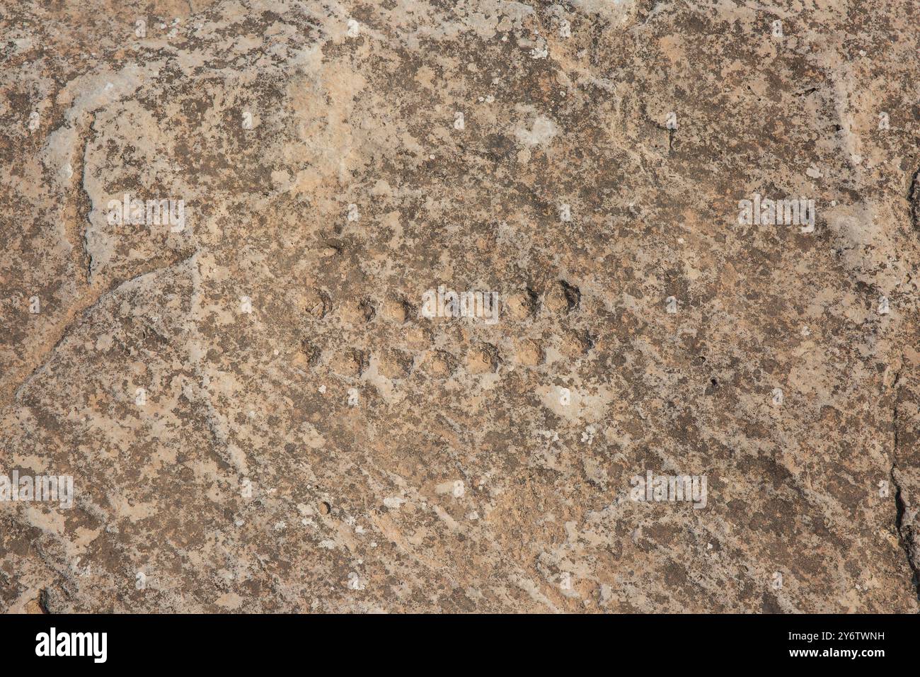 Ancient dot carvings at the Al Jassasiya Rock Art Site (Jabal al ...