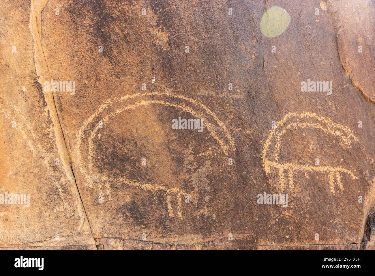 Petroglyphs in Hadhirah village near Dhahran al Janub, Saudi Arabia ...