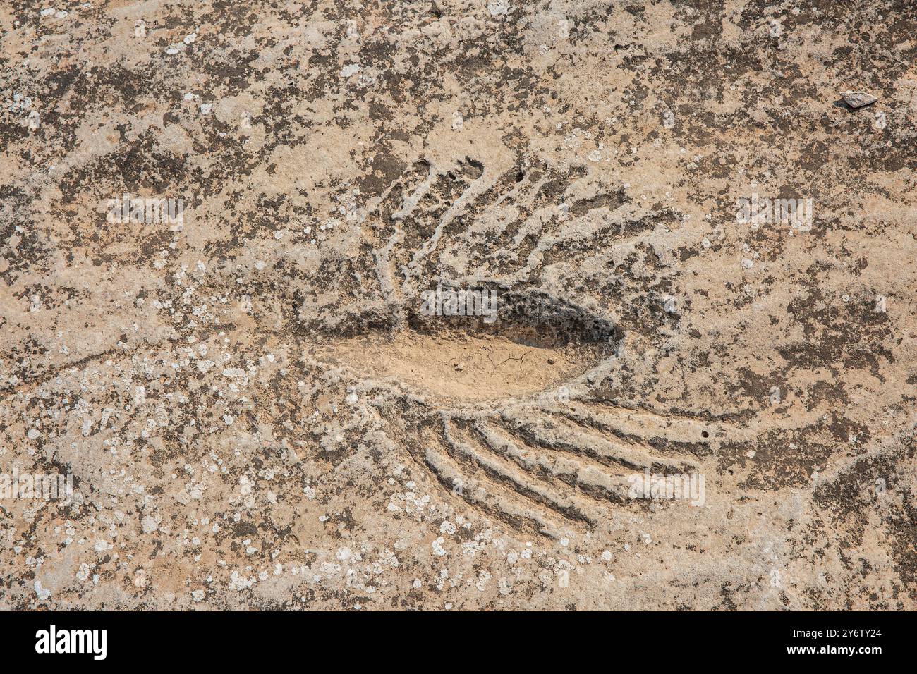An ancient rock carving of a boat with oars at the Al Jassasiya Rock ...