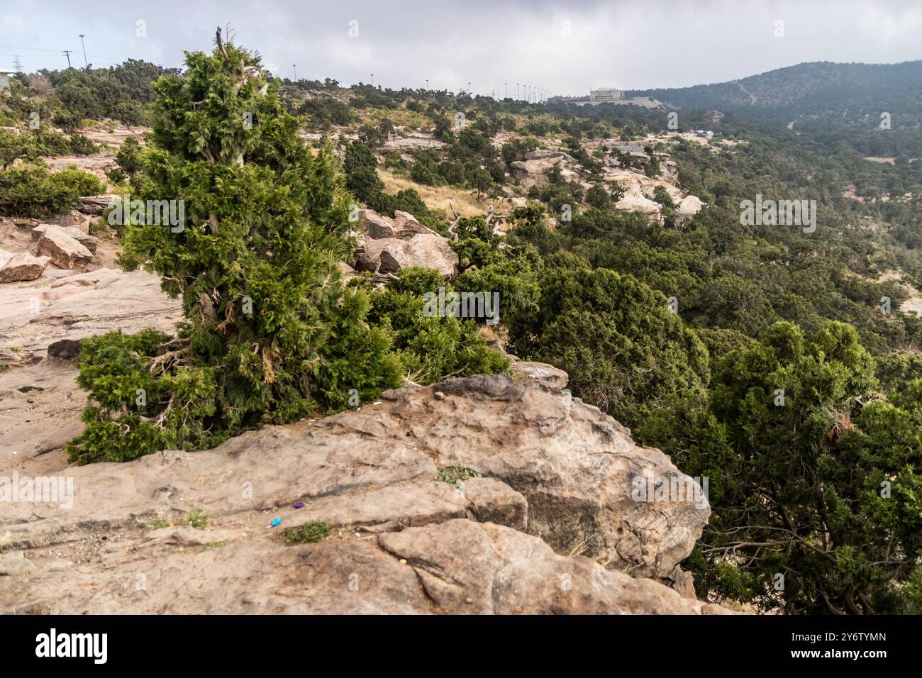 Rocky landscape near Jabal Sawda mountain, Saudi Arabia Stock Photo - Alamy