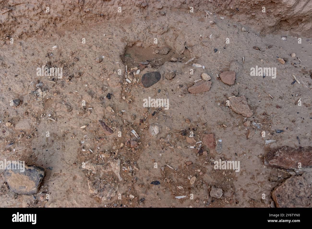 Human bone remnants at Al-Ukhdud site in Najran, Saudi Arabia Stock ...