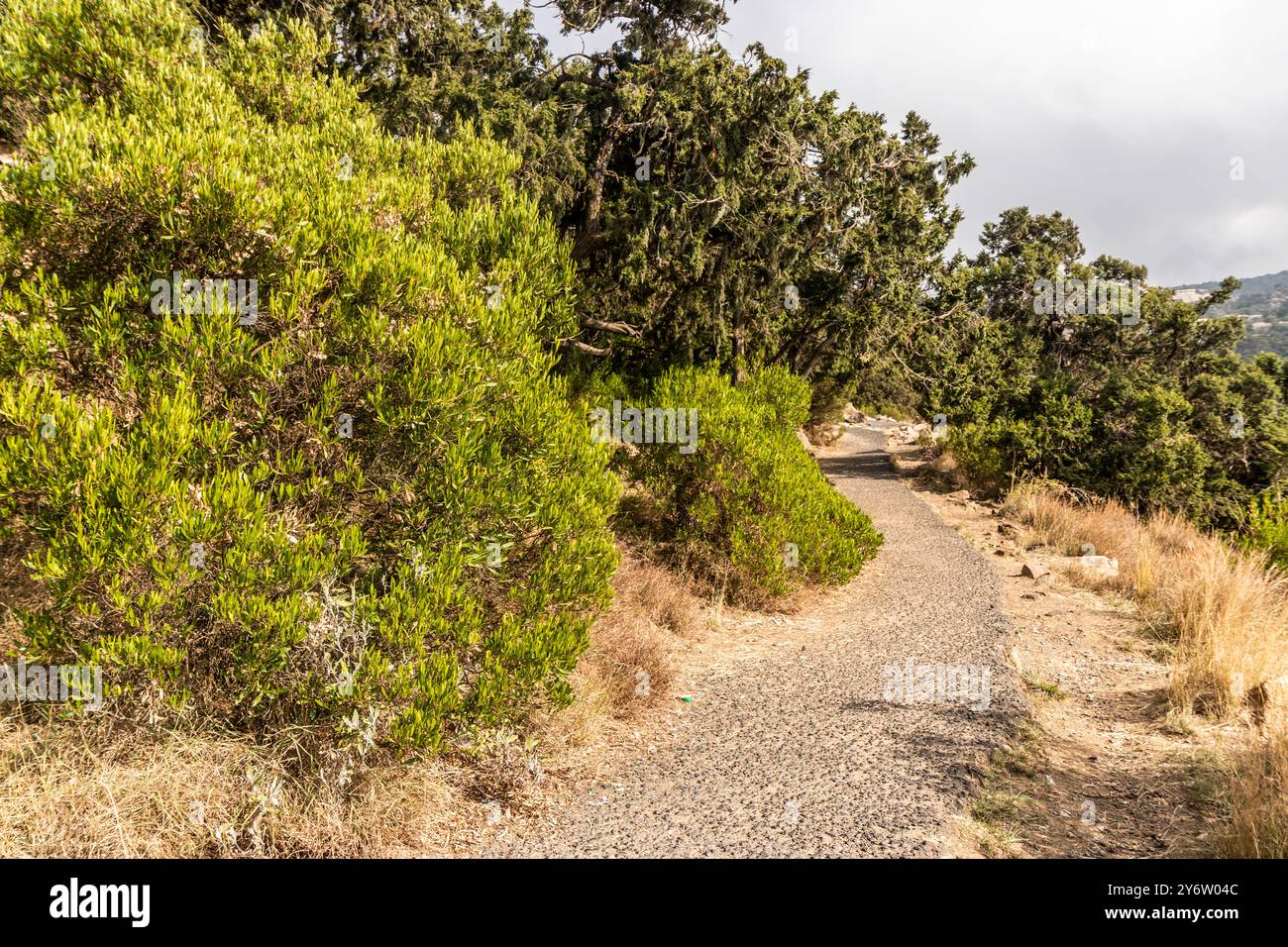 Hiking trail near Jabal Sawda mountain, Saudi Arabia Stock Photo - Alamy