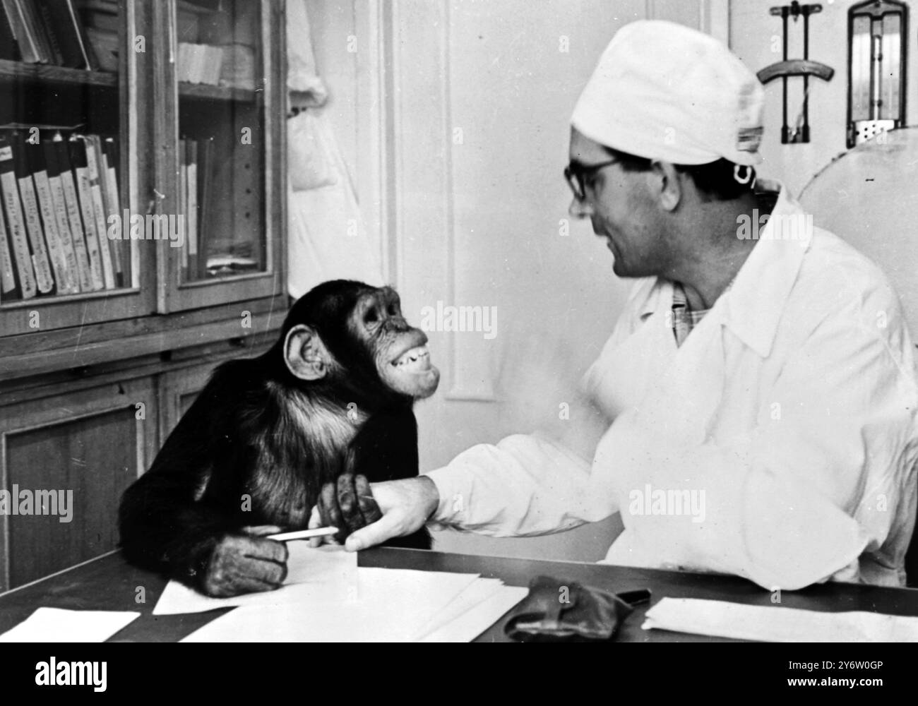 MEDICAL DR EXAMINES CHIMP THAT HAS HAD VACCINE TESTS 4 AUGUST 1961 ...