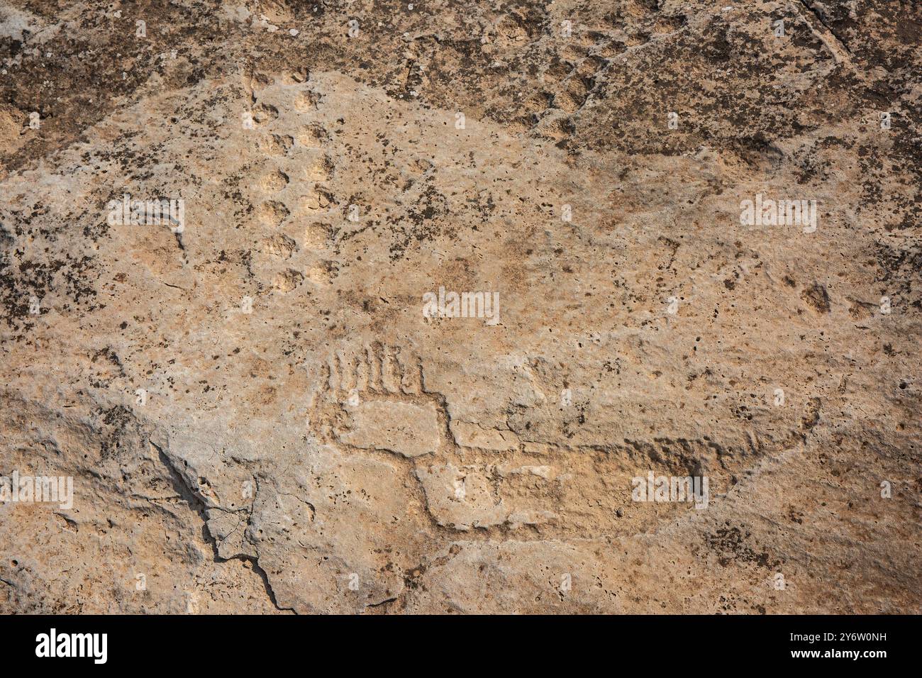 An ancient rock carving of a boat with oars at the Al Jassasiya Rock ...