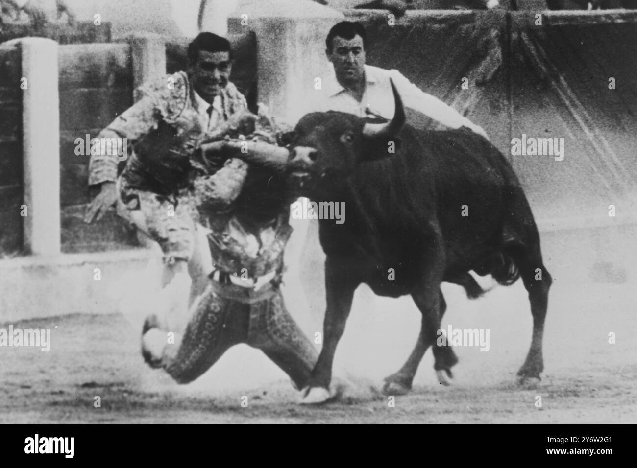 MATADOR WITH A BULL - BULLFIGHTING IN SPAIN 21 JULY 1961 Stock Photo ...
