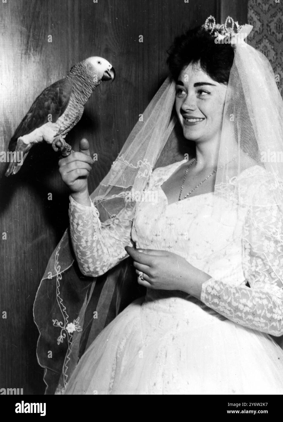 FURRELL VERONI PARROT BOBBY BEFORE WEDDING / 22 JULY 1961 Stock Photo ...