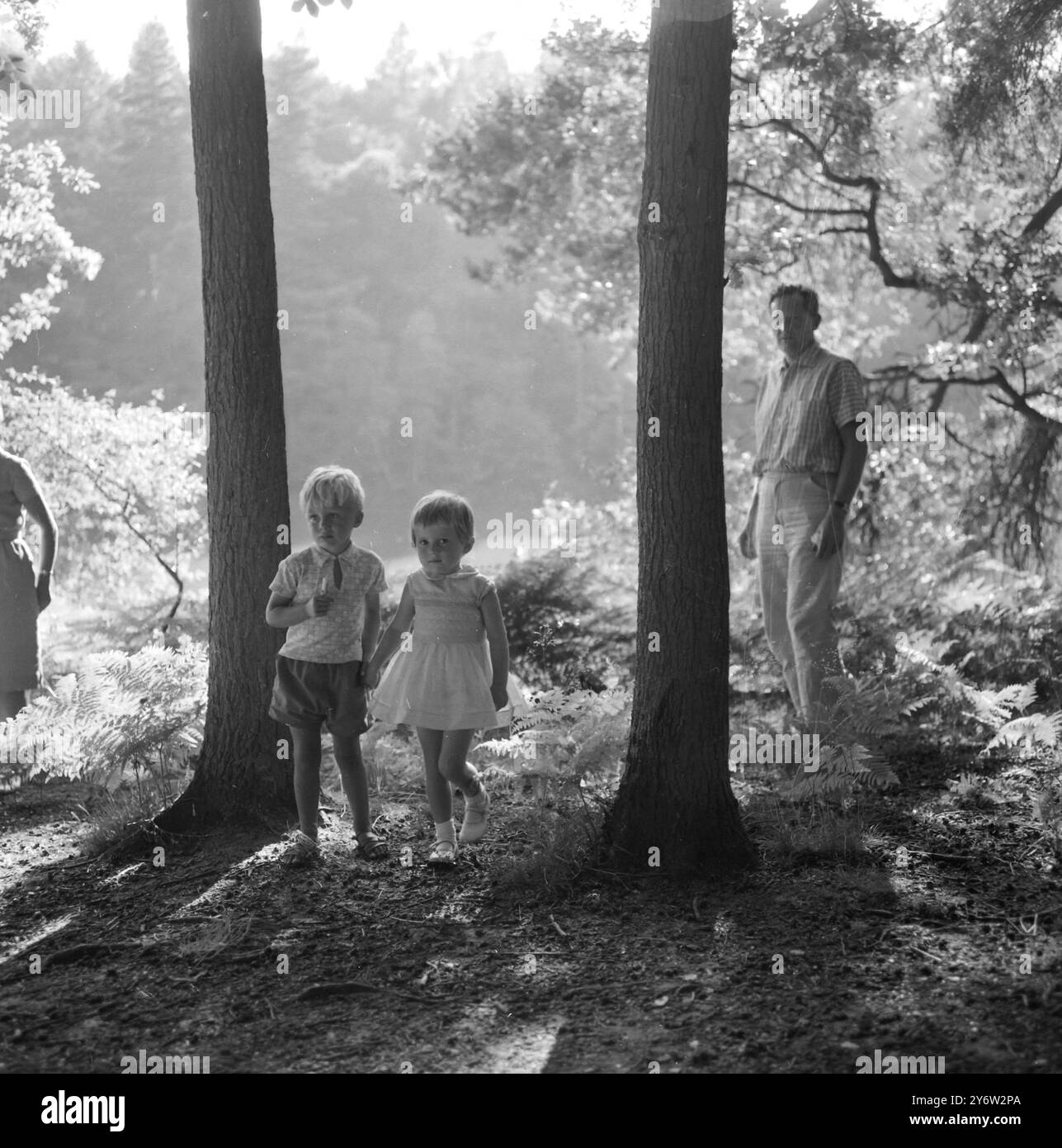 BABES IN THE WOODS - JILL MOORE AND ROGER SAYERS - SILHOUETTED / 19 ...